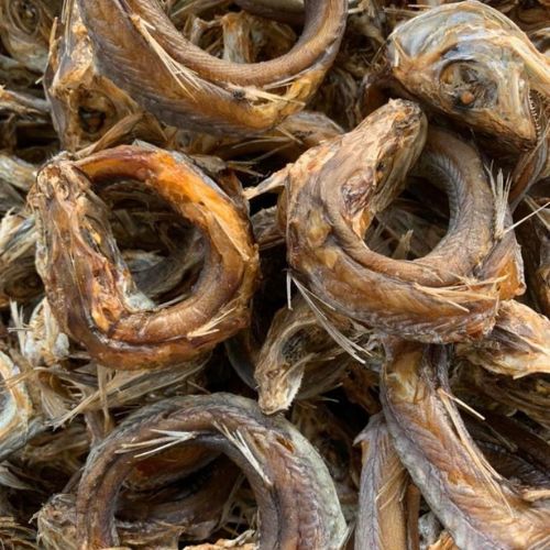 DRIED PANLA FISH – Havilah Foods