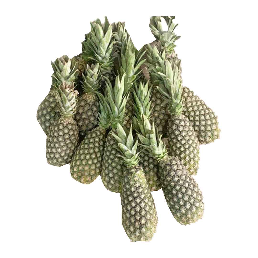 Pineapple (Cotonou) Big size – Havilah Foods